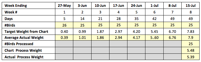 Broiler Chicken Growth Charting - Backyard Poultry
